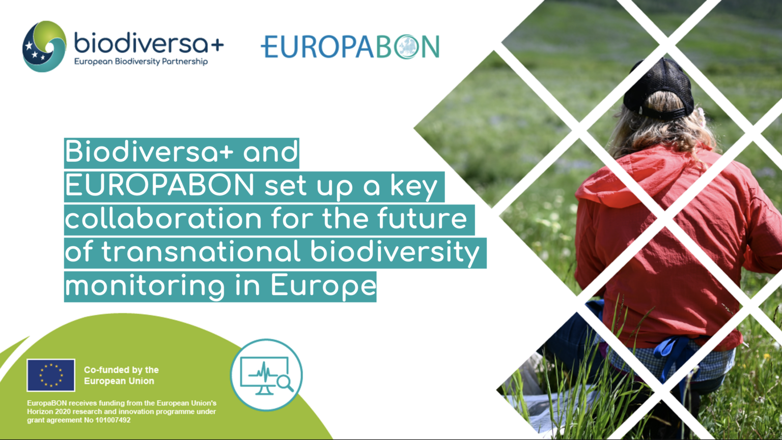 Key collaboration between EuropaBON and Biodiversa+ – EuropaBON