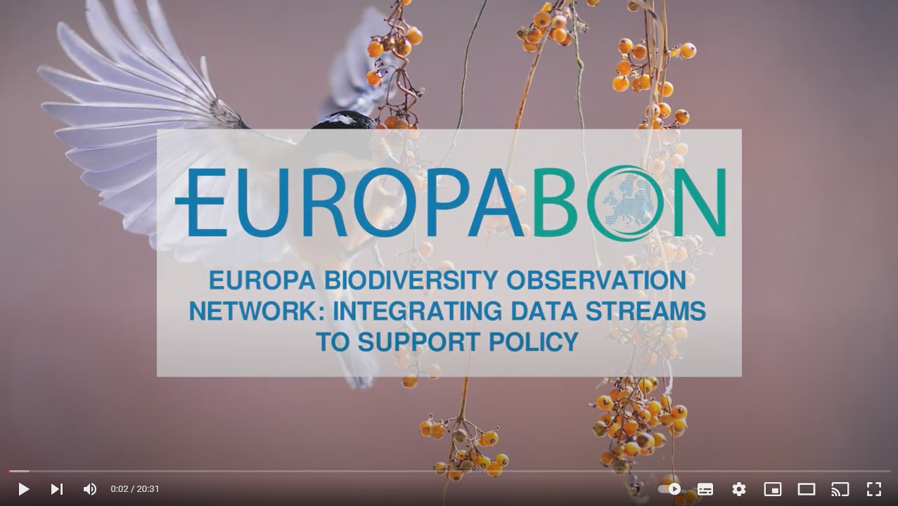 Promotional Materials – EuropaBON