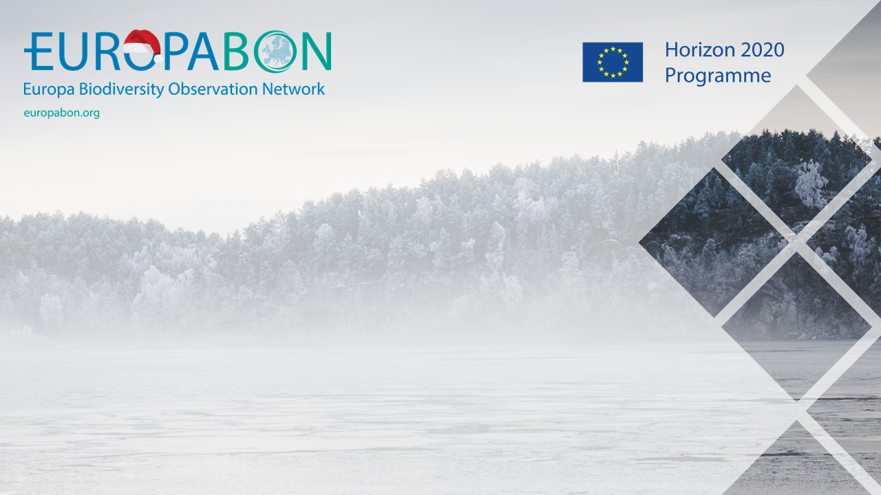 Templates – EuropaBON